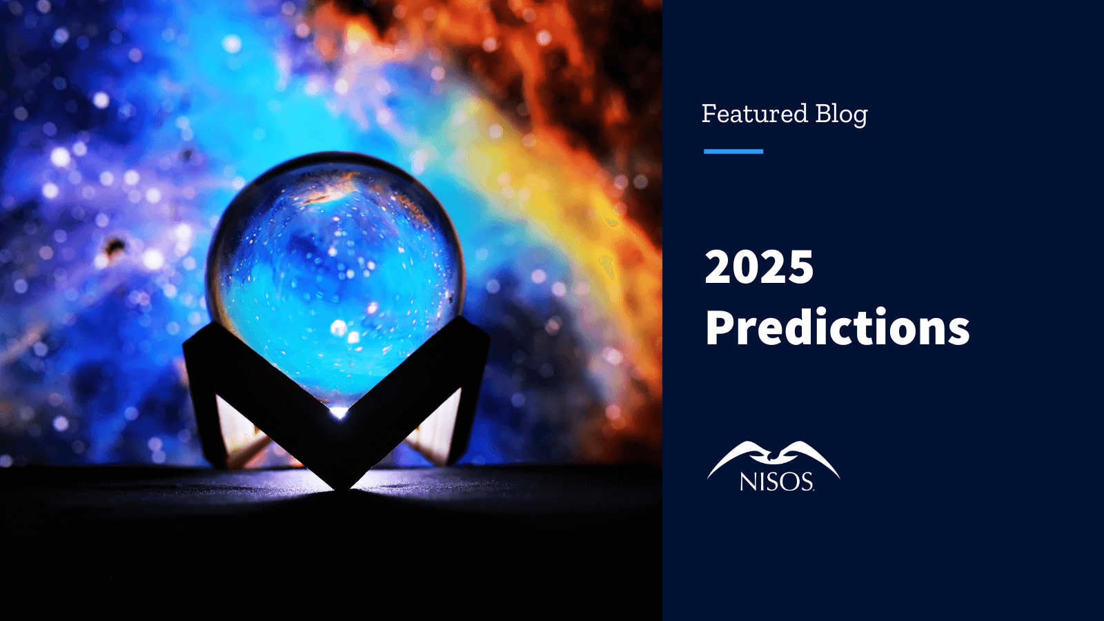 Key Predictions for Human Risk in 2025